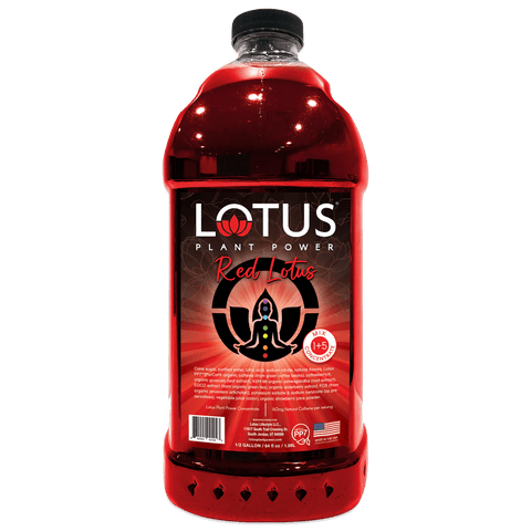 Lotus Plant Power The Number 1 Plant-Based Energy Concentrate USA ...